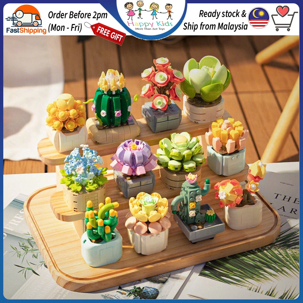 [Happy Kids] Succulents Plants Building Blocks 12pcs DIY Model Mini ...