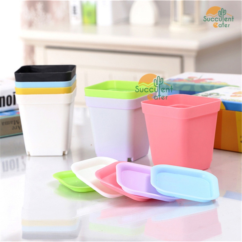 7cm Super Thick Square Colourful Succulent Cactus Plastic Pot Pasu Mini ...