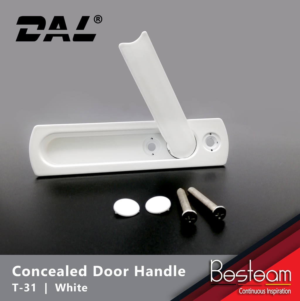 DAL T-31 Concealed Door Handle | Shopee Malaysia