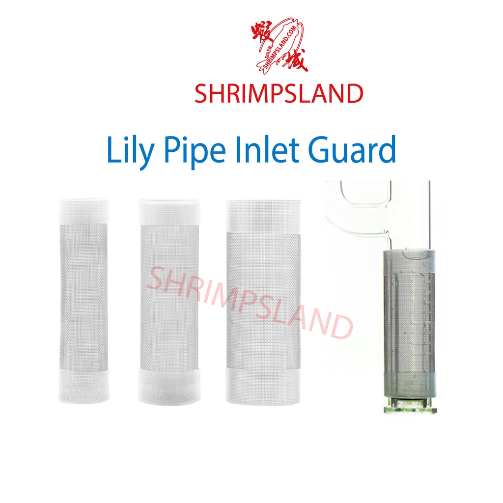 [SHRIMPSLAND] Aquarium Glass Stainless Steel Lily Pipe Inflow Inlet ...