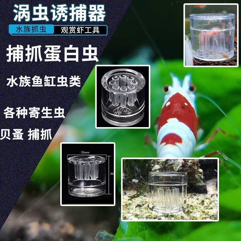 [READY STOCK] Planaria Trap Aquascape Parasite Catcher Crystal Shrimp ...