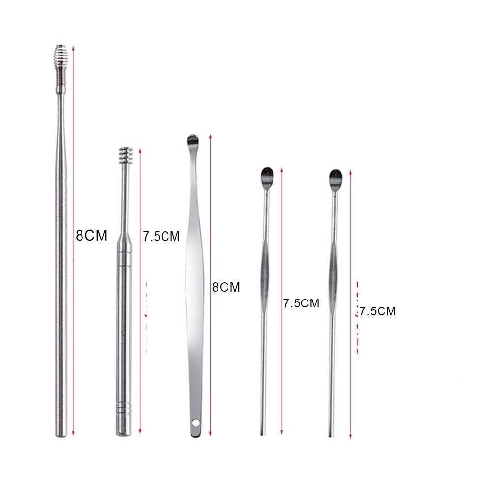 5 Pcs Ear Cleaning Set Portable Earpick Cleaning Kit Stainless Steel ...