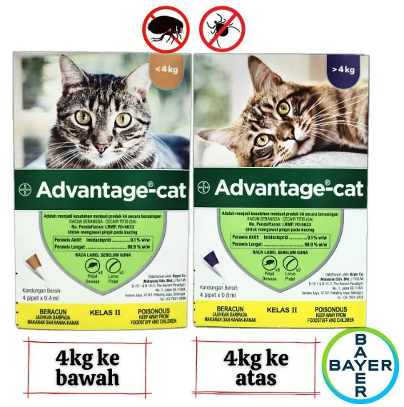 Bayer Advantage Cat Spot On Flea Treatment For Cats / Ubat Kutu Kucing ...
