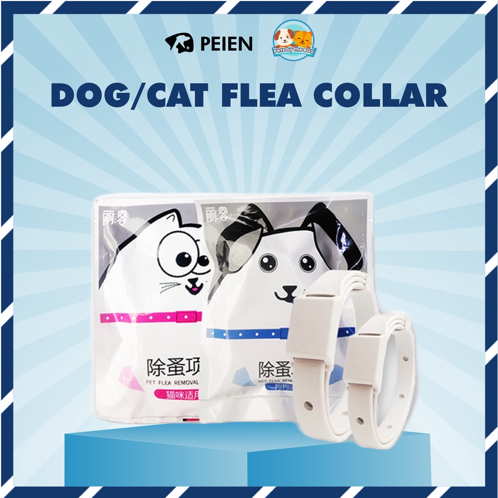 PetGrocer Anti Flea Tick Kutu Mite Cat Kucing Protection Collar ...