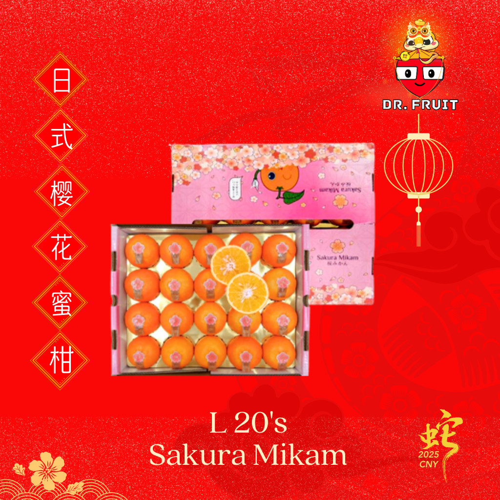 *2025 CNY* Sakura Mikam 日式樱花蜜柑 (L) - 20's/ 1ctn | DrFruit | Shopee Malaysia