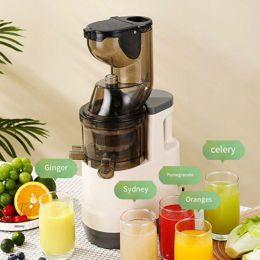 Extra large diameter juicer Original juice machine Slag juice ...