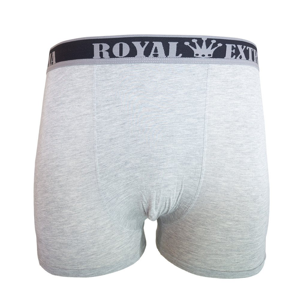 ROYAL EXTREMA Big Size Microfiber Boxer Briefs REB5008 Plus Size Men ...