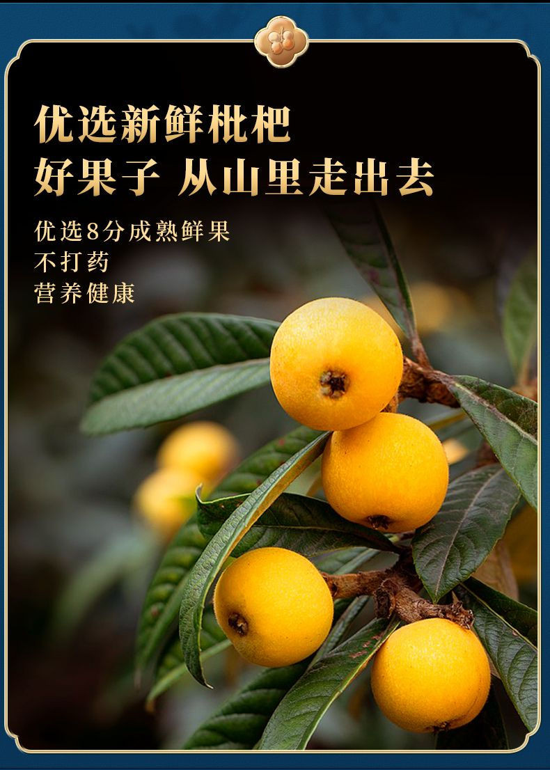Loquat dried candied fruit candied dried fruits, candied loquat ...