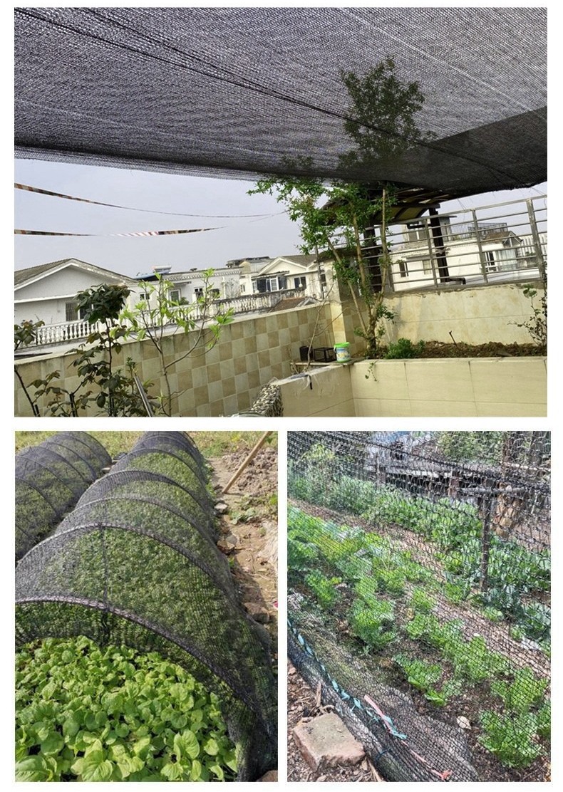 Sun Shade Netting Orchid Net Jaring Hitam Pelindung Matahari Black Sun ...