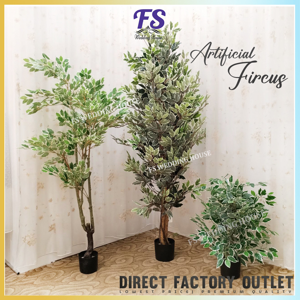 ARTIFICIAL FICUS TREE/INDOOR PLANT/HOME DECOR TREE/POKOK VIRAL/FIRCUS ...