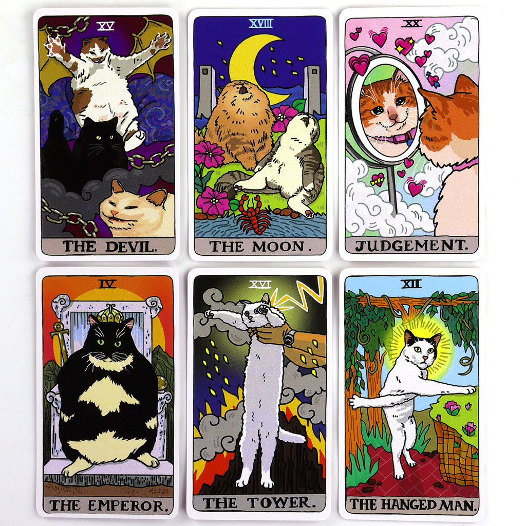 Top12-cat meme cat meme cat meme 22 Pieces Big Akana English Witte ...