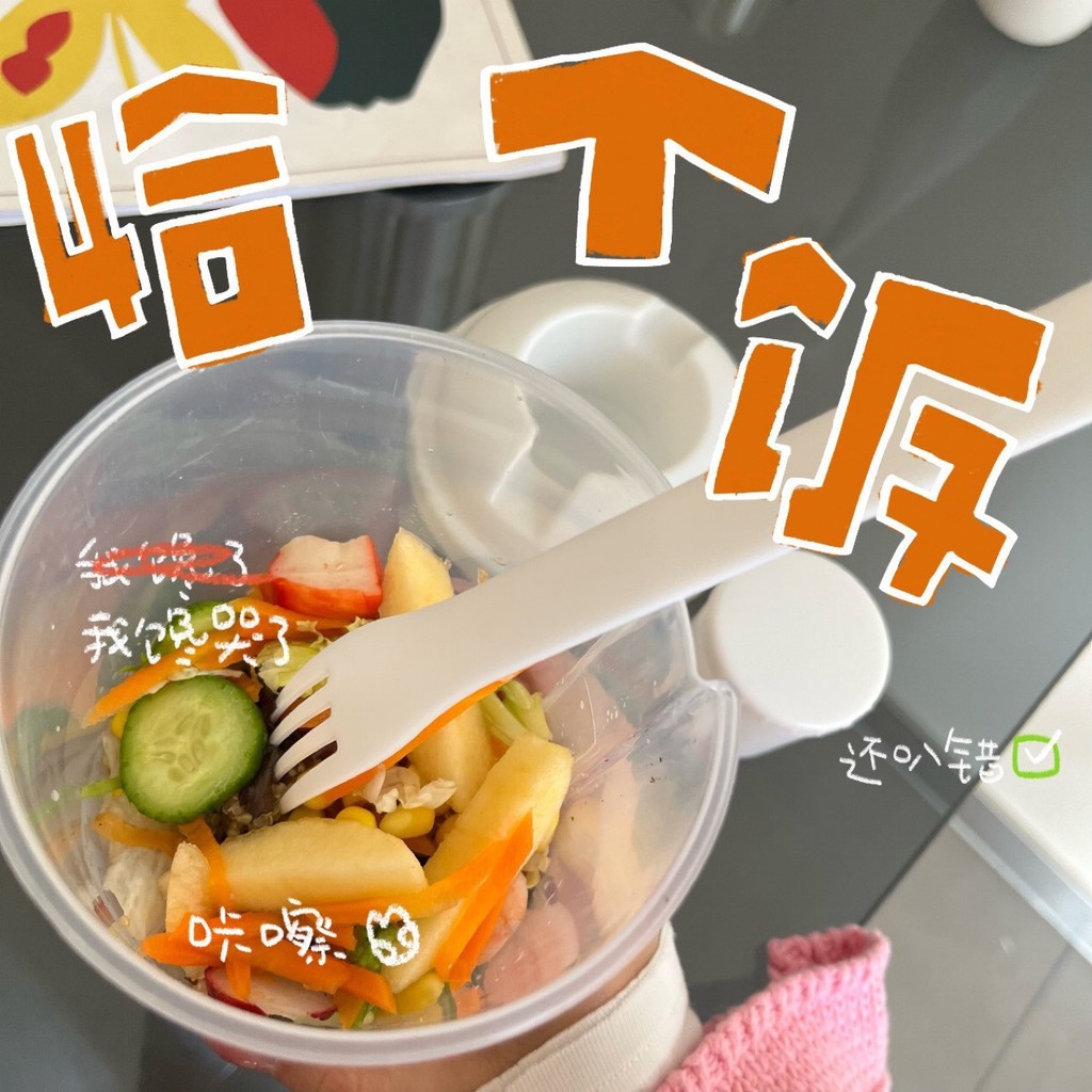Portable Breakfast Cup with Spoon Fork Sealed Lid Healthy Salad Yogurt Milk Fruit Box Fitness ...