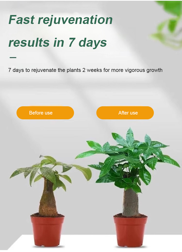 🌹HOT🌹[Quick Resurrection Plants]Universal Plant and Flower Rejuvenation ...