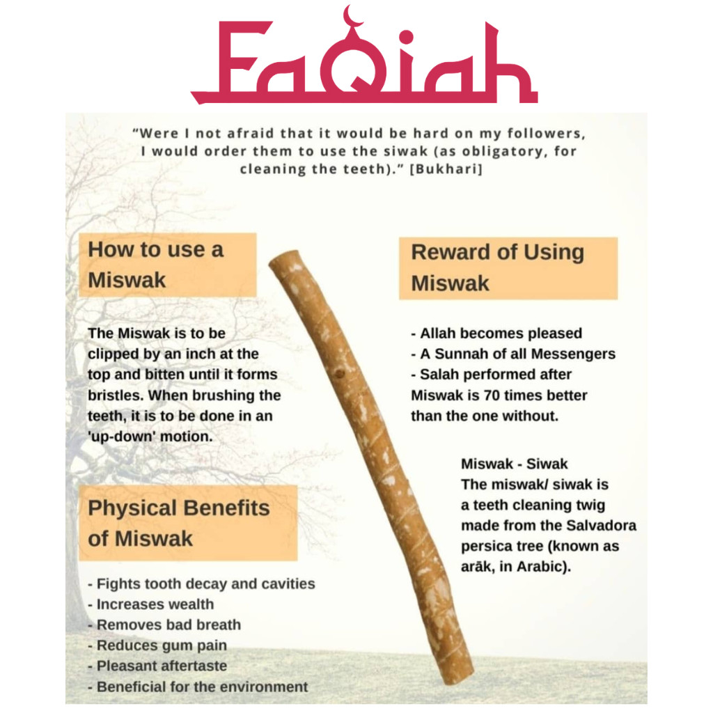 3pcs Kayu Sugi Miswak Berus Gigi Asli Siwak Natural Tooth Brushes ...