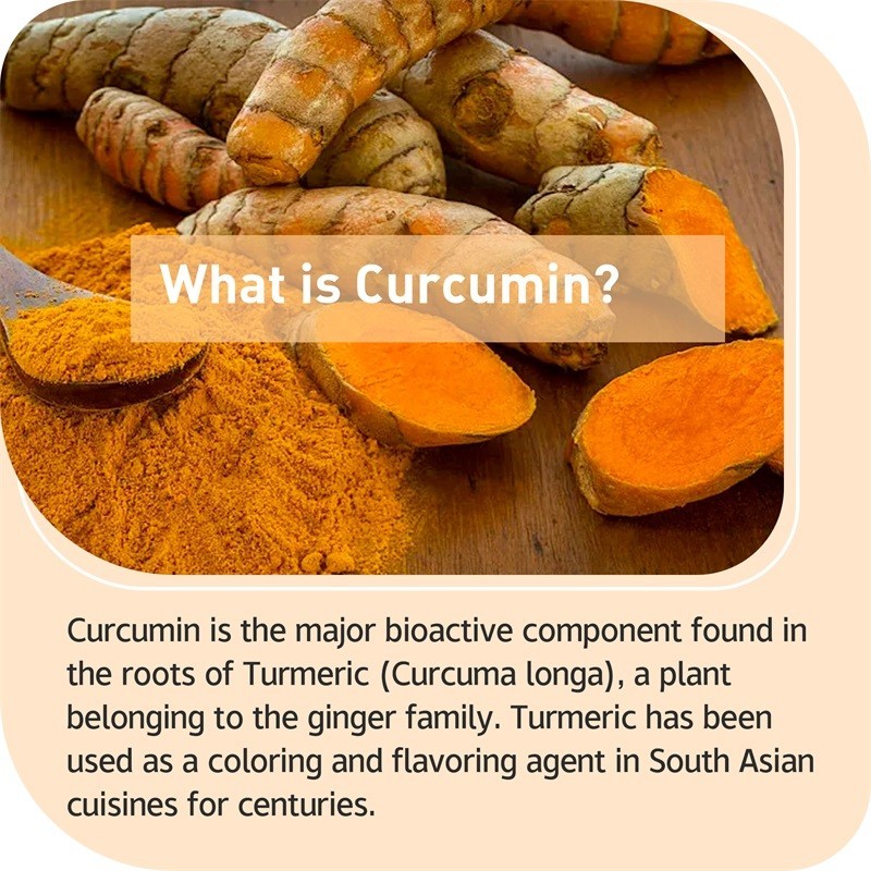 Pslalae Curcumin Complex Supplement 1000 mg, with Turmeric Root and ...