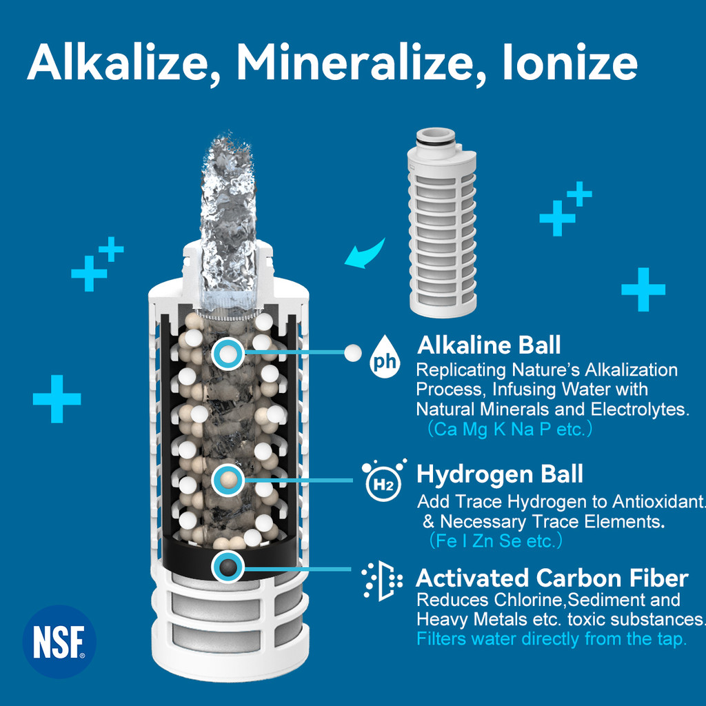 ALTHY Alkaline Water Filter Bottle，Up to PH 9.5，Added Minerals ...