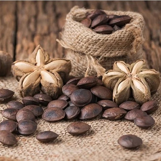 Organic Homegrown Sacha Inchi Seeds - Biji Benih Sacha Inchi ~25g (20 ...