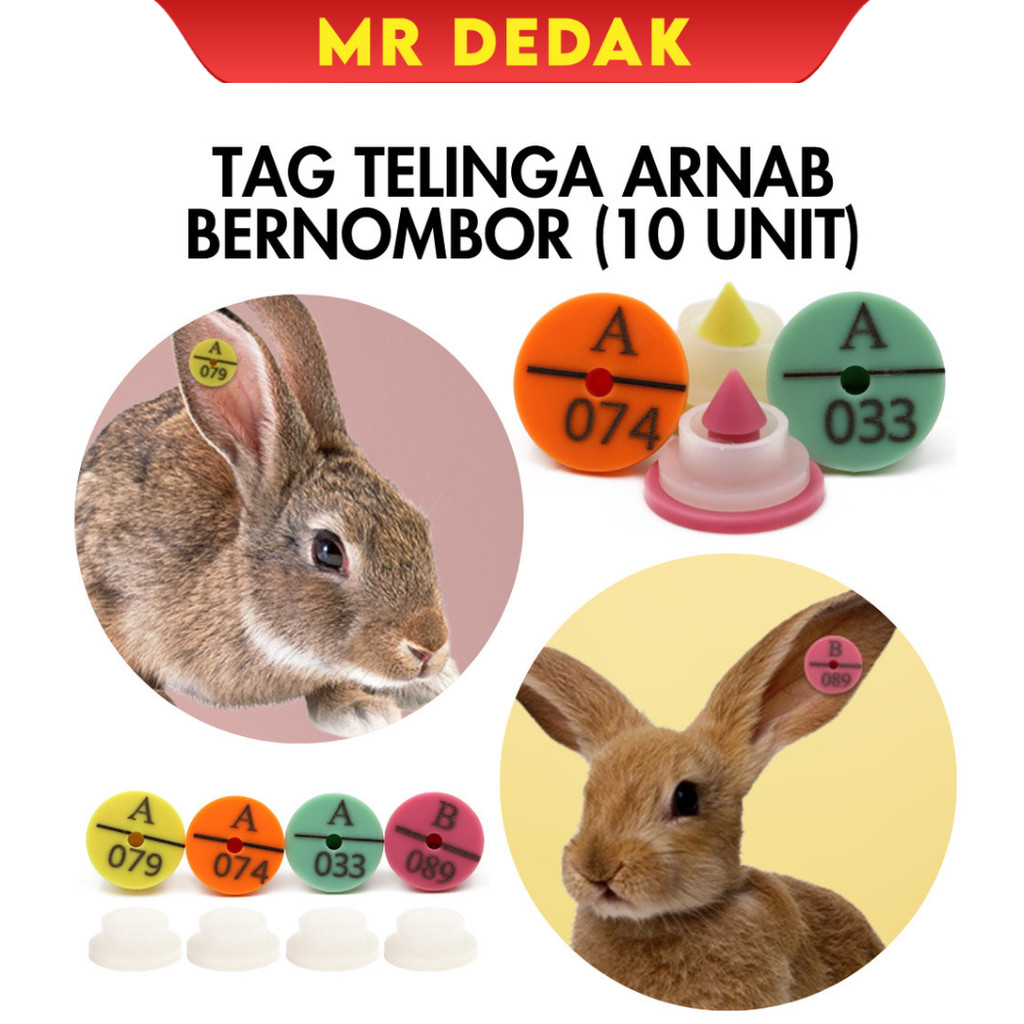 [10 UNIT] RABBIT EAR TAG WITH NUMBERS | TAG TELINGA ARNAB BERNOMBOR ...