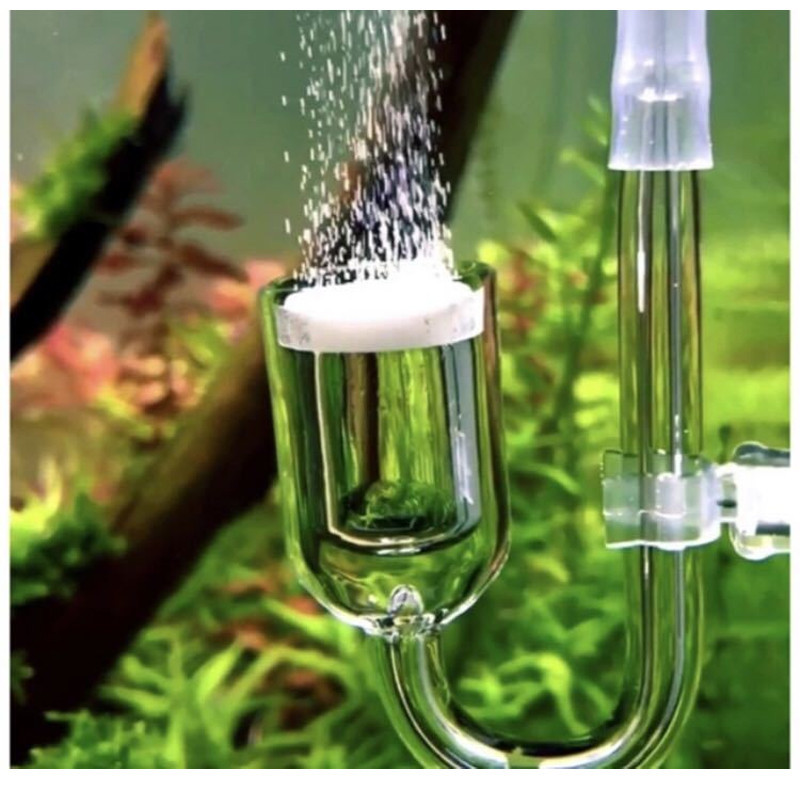CO2 Diffuser set Aquarium accessories for Saturation CO2 (Checkvalve ...