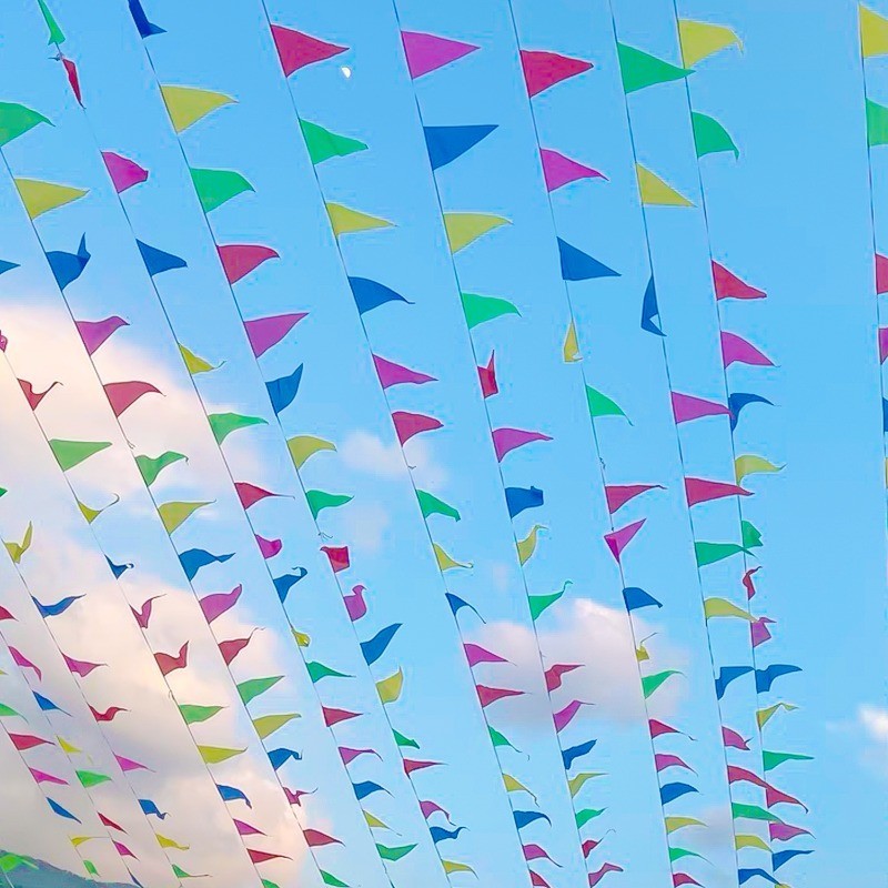 80/100M 150Pcs Colored Polyester Triangle Flag - DIY Colorful String ...