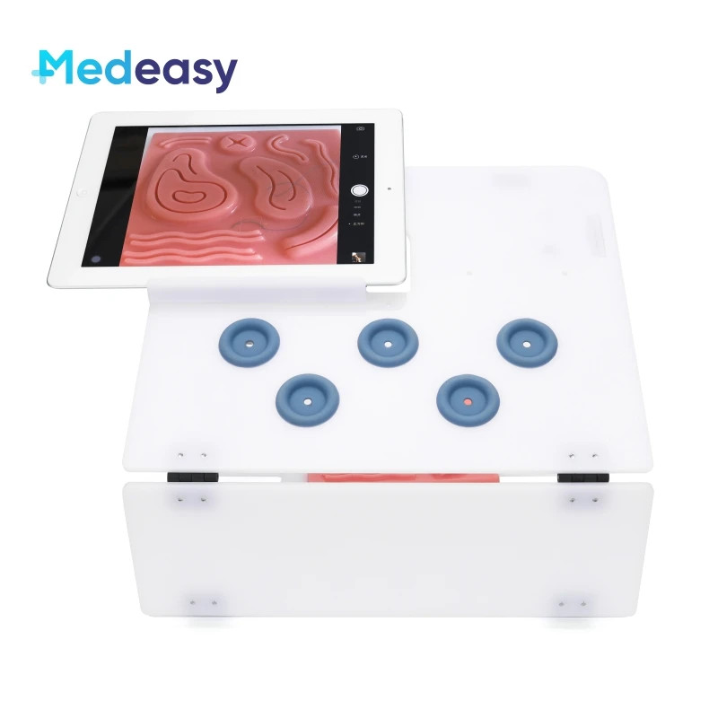 Laparoscopy Surgery Laparoscopic Training Simulator Box Surgical ...