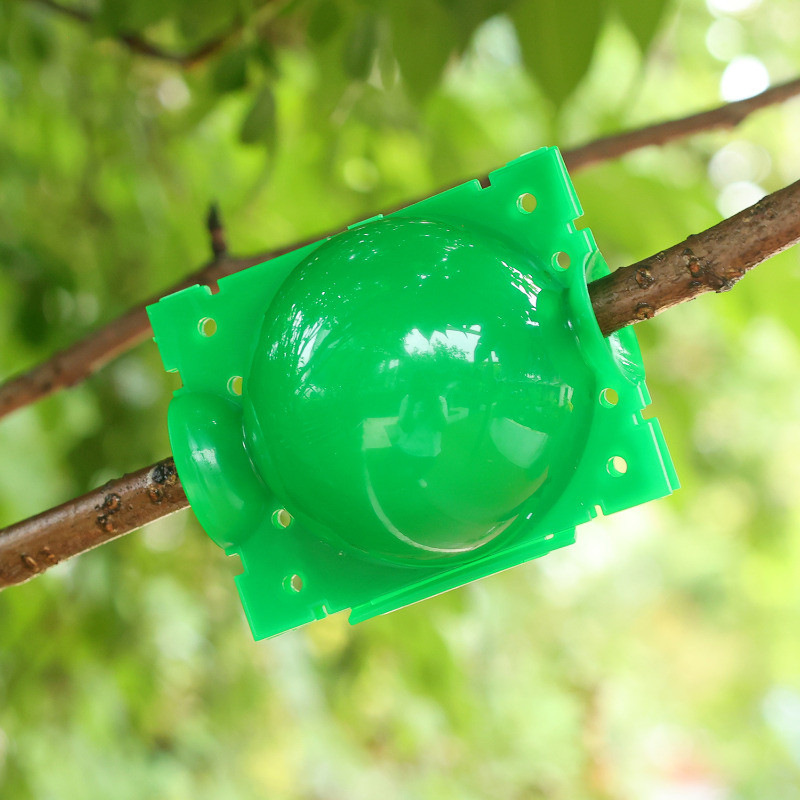 5/10/15Pcs Durable Plastic Plant Grafting Ball - Plant Rooting Grafting ...