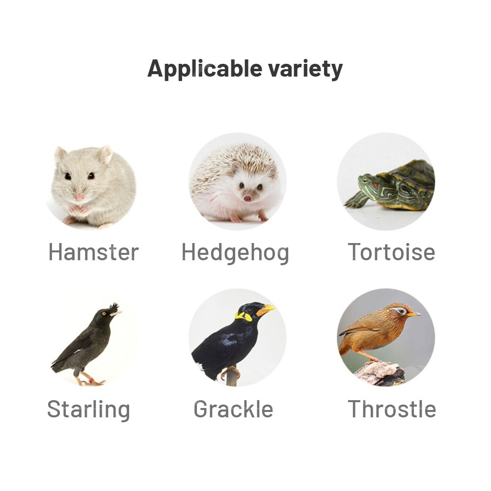 POODEE Dried Breadworm 100g Protein food Mealworm Non-GMO Treats ...