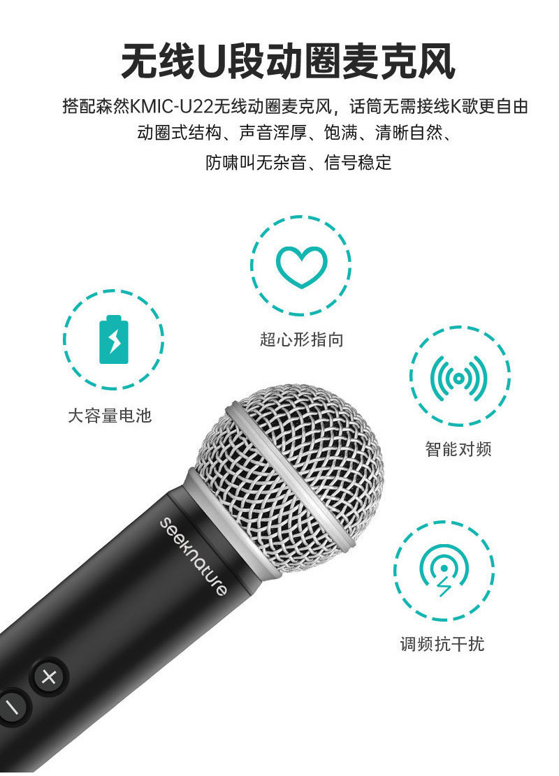 Senran Siyinda F6 Home KTV Audio Set Outdoor Live Equipment Singing ...