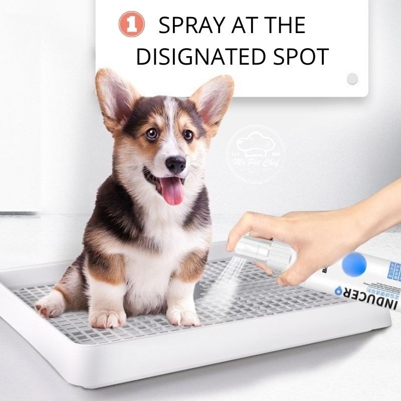 120ml Pet Inducer Dog Potty Toilet Training Urinary Positioning Spray ...