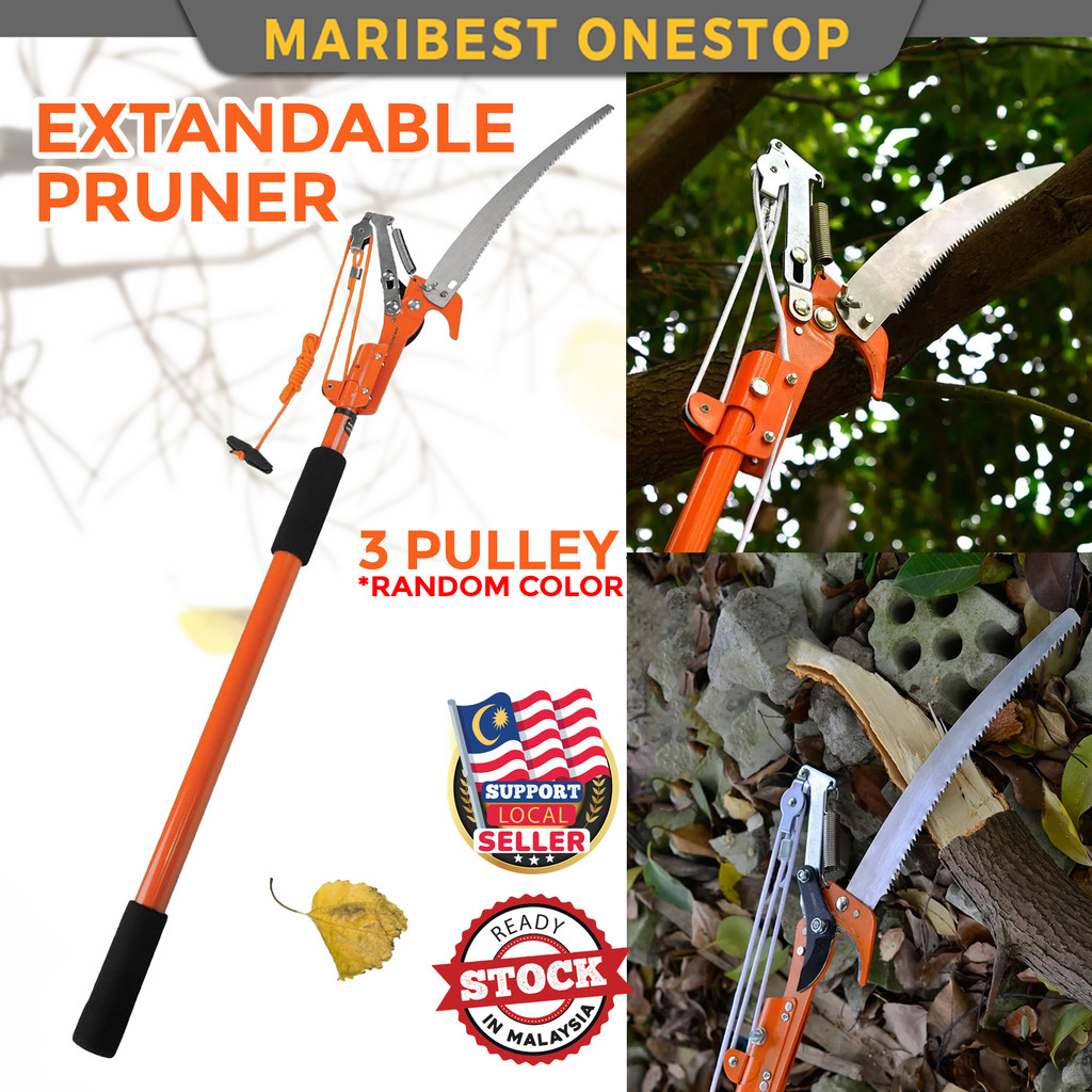 Extendable 3 Pulley Rambutan Cutter Pole Tree Pruner Trimmer With Rope ...
