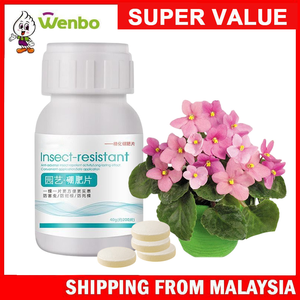 Wenbo Outdoor Gardening Flower Plant Insect Resistant Tablet Gardening ...