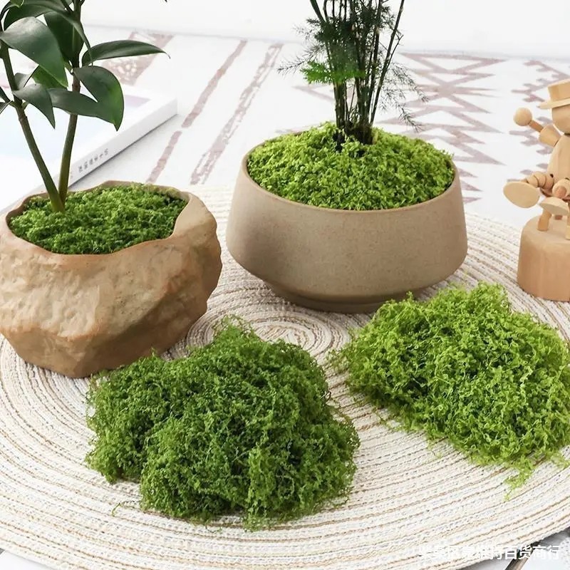 200G Fake Moss DIY Crafts Grass Artificial Moss Faux Preserved Moss ...