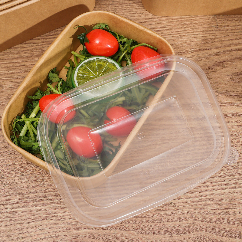 10pcs Disposable Food Boxes - Lunch Bowl With Lid - Kraft Paper Bento ...