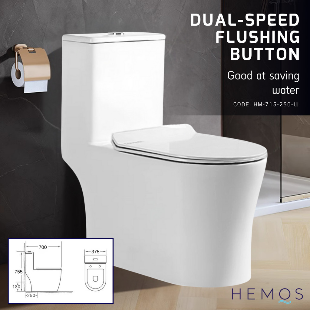 HEMOS BATHROOM WHITE CERAMIC ONE PIECE TOILET BOWL POWERFUL&QUIET DUAL ...