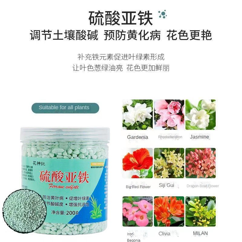 200g Iron Ferrous Sulphate Fertilizer Photosynthesis Booster Gardenia ...