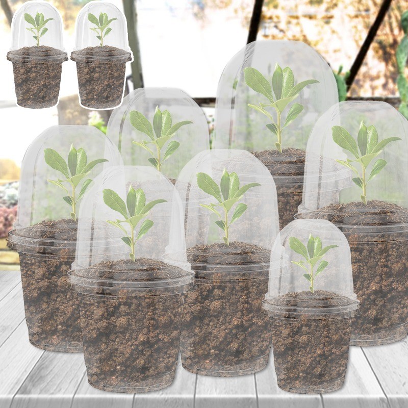 5Pcs Seedling Nursery Pots with Cover Seed Starting Grow Nutrition Cup ...