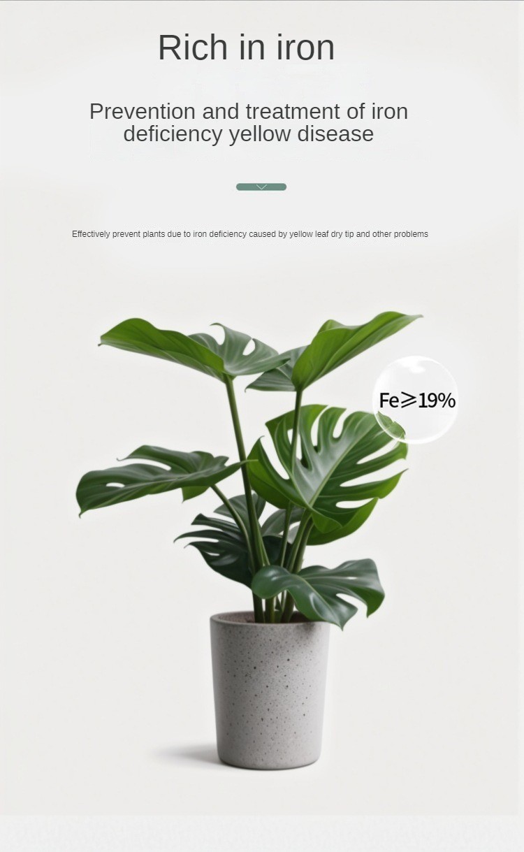 200g Iron Ferrous Sulphate Fertilizer Photosynthesis Booster Gardenia ...