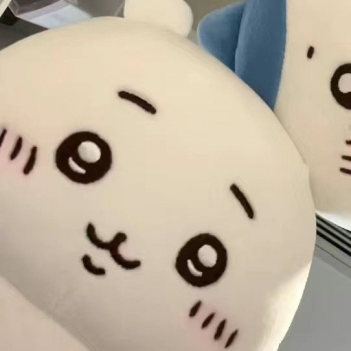 [97% Praise Rate] miniso Famous Creation Premium chiikawa Standing Doll ...