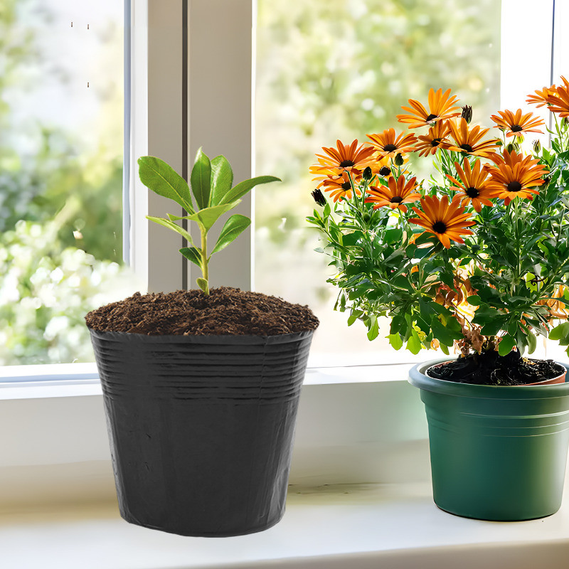 Plant Nutrition Pot Cups - Round Slotted Mesh Container - Plastic ...