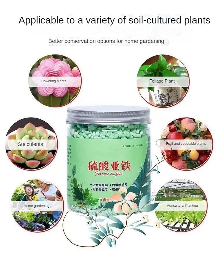 200g Iron Ferrous Sulphate Fertilizer Photosynthesis Booster Gardenia ...