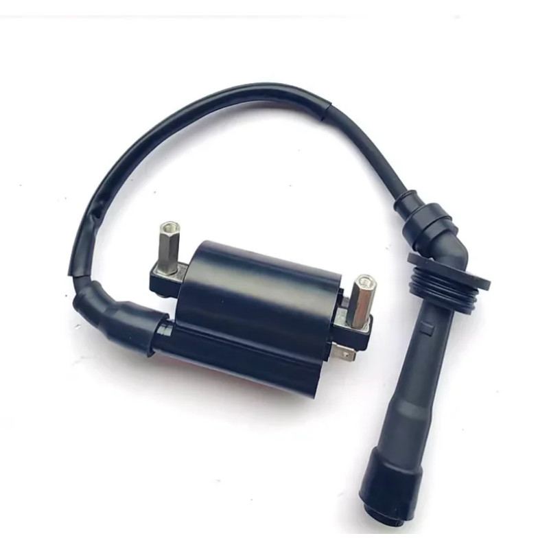 250cc Motorcycle ignition coil ignitor for benelli TNT250 TNT 250 TNT25 ...