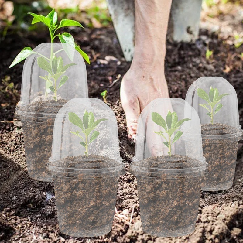 5Pcs Seedling Nursery Pots with Cover Seed Starting Grow Nutrition Cup ...