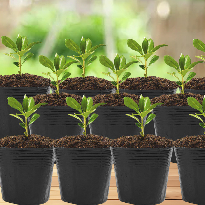 Plant Nutrition Pot Cups - Round Slotted Mesh Container - Plastic ...