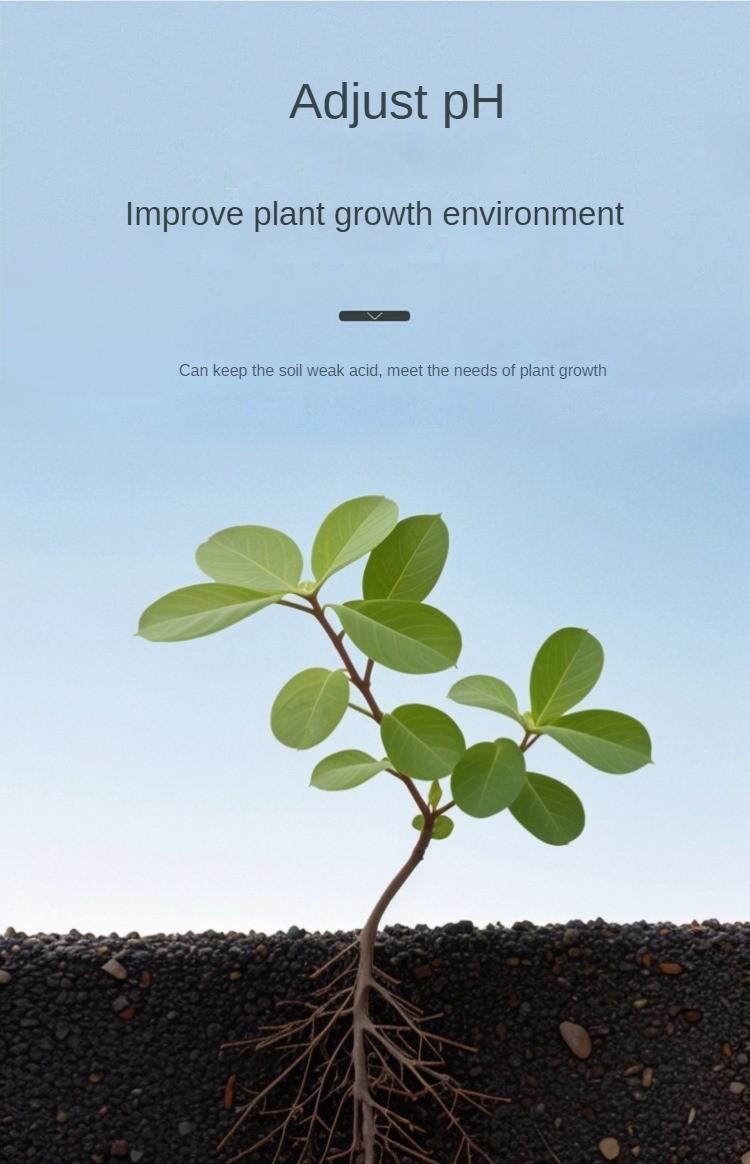 200g Iron Ferrous Sulphate Fertilizer Photosynthesis Booster Gardenia ...