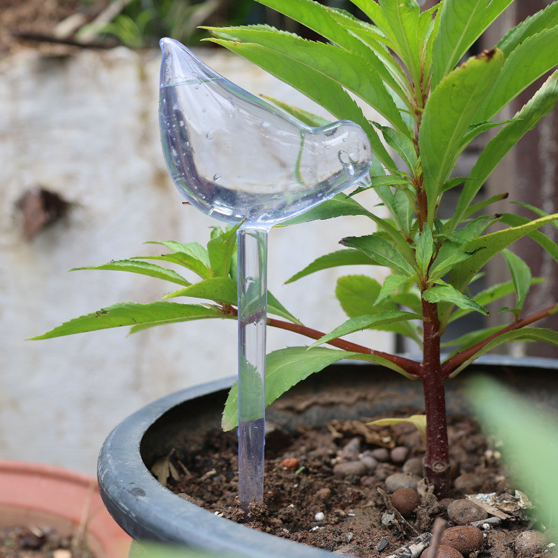 Bird-shaped Watering Ball - Self-flowing Potted Waterware - Adjustable ...