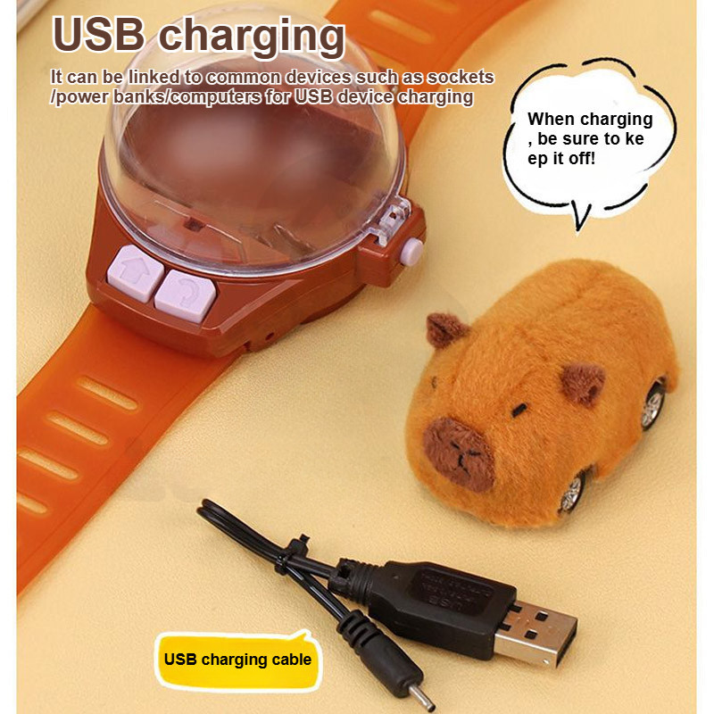 Remote Control Car Watch Capybara Rabbit Electric Toy 2.4G Plush Car ...