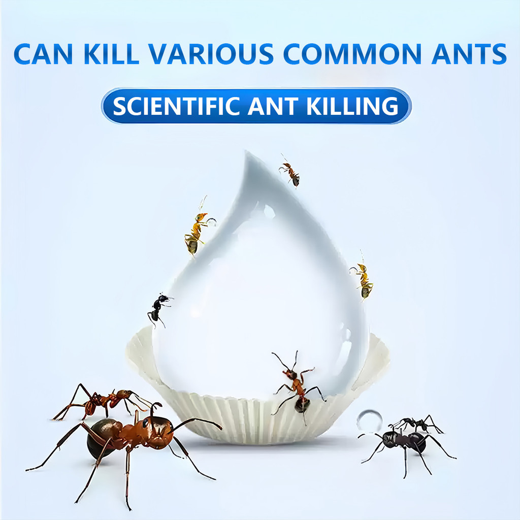 Eco Friendly Gel Ant Bait Semut Lipas Ubat 10g Cockroach&Lizard Bait ...