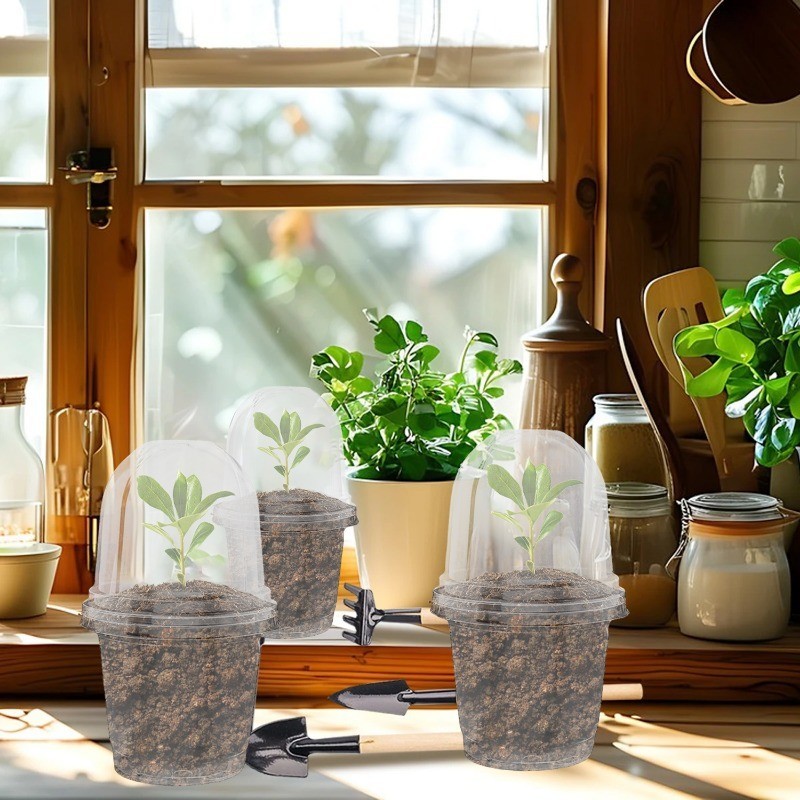 10Pcs Seed Plant Nursery Pots - Plant Nursing Growing - Transparent ...