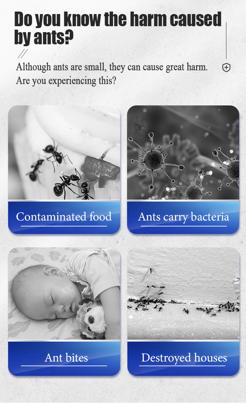 【Fast shipping】Ant powder Ant killer Ant poison Kill various ants ...