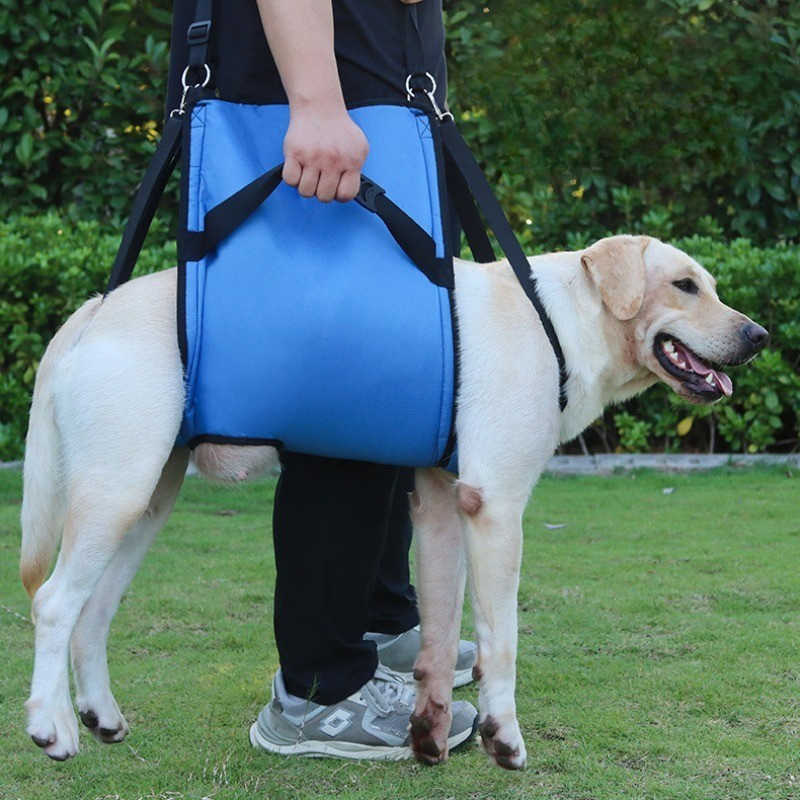 Pet Leash Rehabilitation Chest Strap Adjustable Dog Outdoor Travel ...